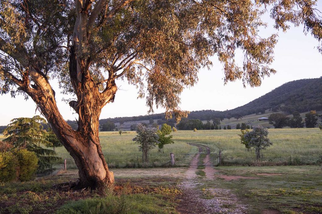 Stargazing in Mudgee: What you'll see from Wilgowrah - Wilgowrah - A ...